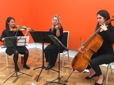 Highlight Strings Quality String Ensemble Artist 0428 785 000