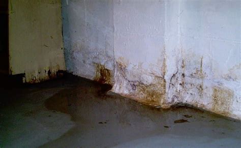 Как избавиться от сырости в гараже