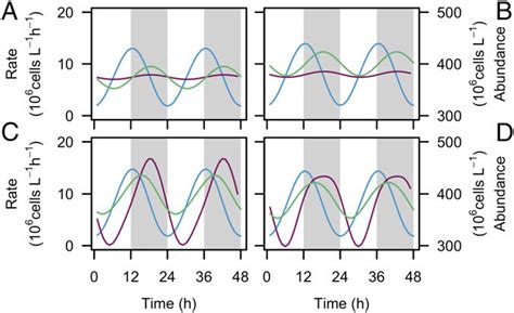 Light Dependency Of Prochlorococcus Mortality Forces Modeled Download Scientific Diagram