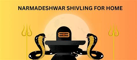 unlock the power of narmadeshwar shivling for your home from shivansh narmdeshwar shivling by