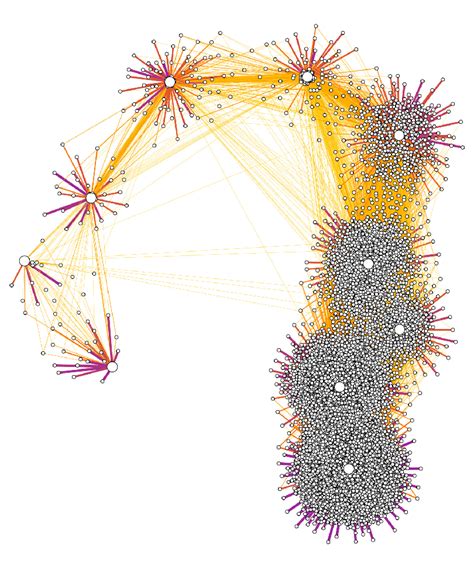 Membership Network Representing A 10 Cluster Fuzzy Structure Discovered Download Scientific
