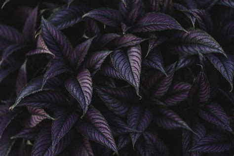 From Good To Great A Capability Framework For Building Exceptional Product Engineering Teams