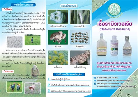 เชื้อราบิวเวอเรีย ศูนย์วิทยบริการเพื่อส่งเสริมการเกษตร