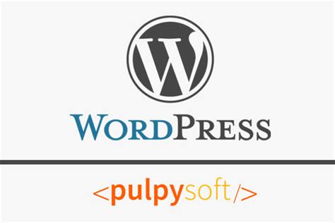 Wordpress Bug Fixing Theme Installtion Issues Customization By