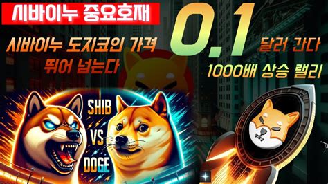 시바이누 호재 시바이누 1000배 상승으로 도지코인 잡는다 첫 목표가 01달러 비트코인 시바이누코인 도지코인 이더리움 리플 Youtube