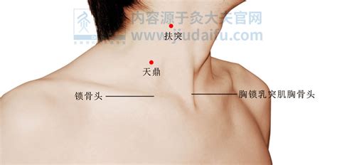扶突 取穴视频与介绍 穴位名片 轻壹