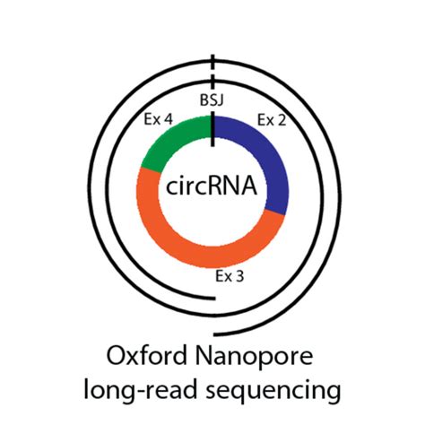 Rna Analysis Plos One