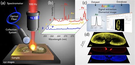 What Wavelengths Appear In The Systems Emission Spectrum Uncovering
