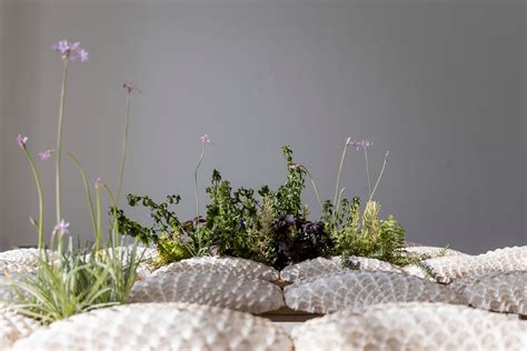 Grounds For Return Explores Circular Agriculture And Architecture