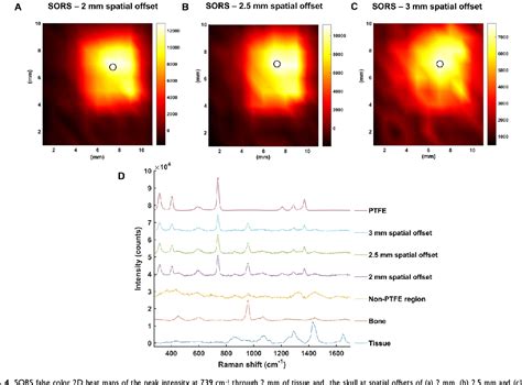 Figure 4 From Non Invasive In Vivo Imaging Of Cancer Using Surface