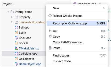 Compile Files Without Build Clion Documentation