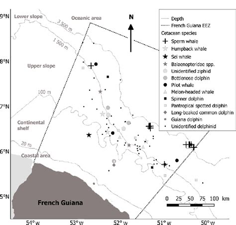 Acoustic Detections Of Cetaceans Collected During The 10 Min Daylight