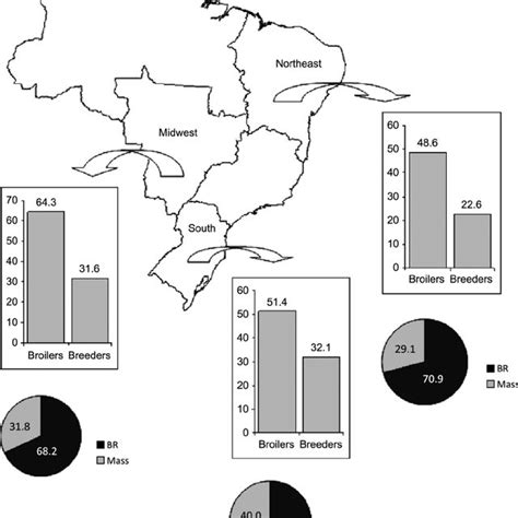 Infectious Bronchitis Virus Ibv Detection In The Different Download Table