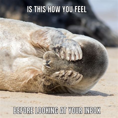 5 Quick Tips For Keeping Your Inbox Under Control Here Are A Few Simple… Karen Thomas