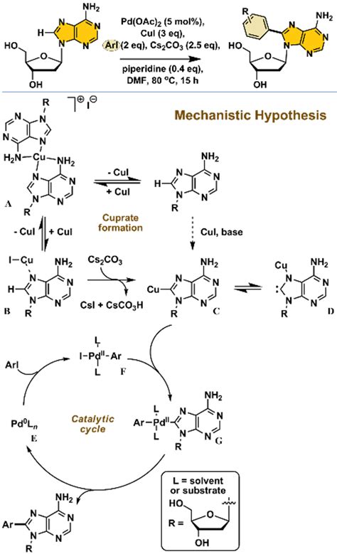 Metal Catalysis C X And C H Bond Activation