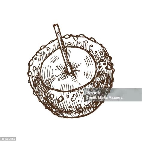 견과류 스프링클이 있는 Candy Taffy 사과의 손으로 그린 스케치 벡터 음식 그리기입니다 전통적인 크리스마스 할로윈 디저트 포장용 그림 라벨 빈티지 홀리데이 디자인