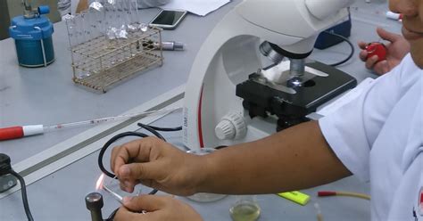 Floratic Isolation Of Microalgae