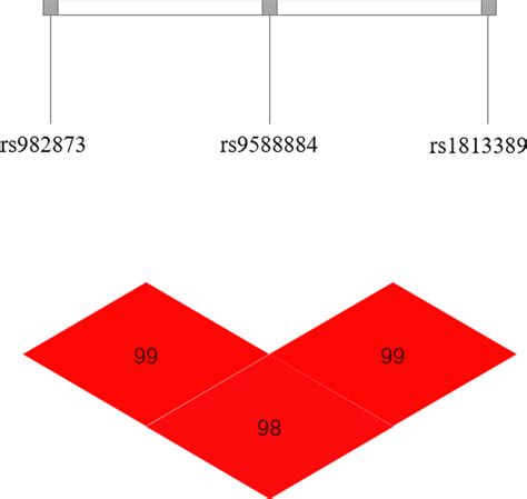Linkage Disequilibrium Analysis Of Five Snp Loci Download Scientific