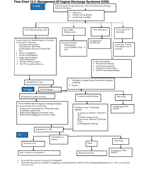 Vaginal Discharge Syndrome VDS