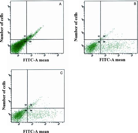 Figure 1 From Suppressor Trna Mediated Gene Therapy Semantic Scholar