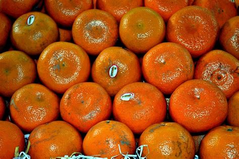 Nhóm 4 Ai Object Detection Dataset And Pre Trained Model By Nhm 4 Ai