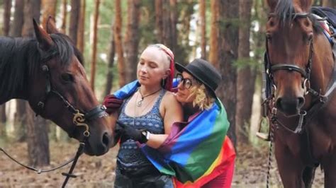 Sesso Cavallo Video Stock Filmati Depositphotos