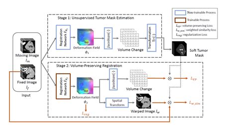 volume preserving registration