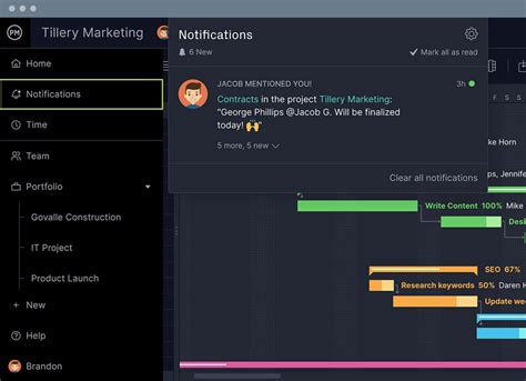 Project Collaboration Software Projectmanager