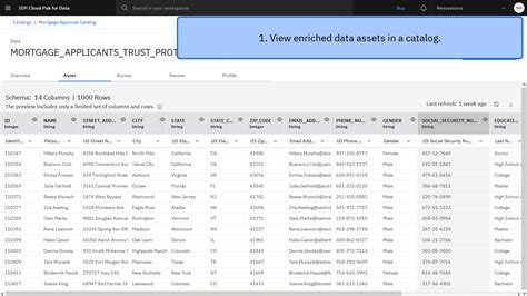 Data Governance Tutorial Consume Your Data Ibm Cloud Pak For Data As
