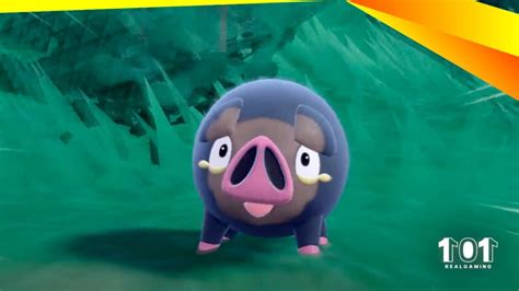 Pokémon Escarlata y Púrpura Cómo conseguir a Lechonk realgaming es