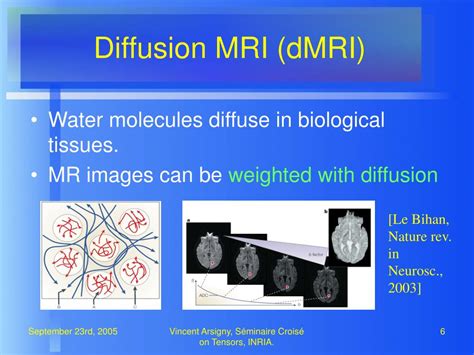 Ppt Diffusion Tensor Processing With Log Euclidean Metrics Powerpoint Presentation Id5908963