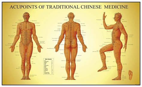 Acupuncture Points And Meridians Marinoptimalhealth