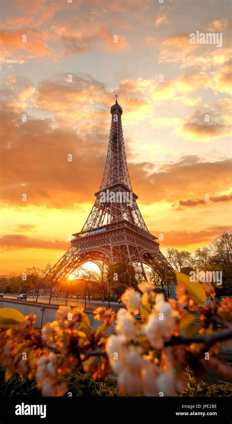 Cute Eiffel Tower Backgrounds Pink Eiffel Tower Backgrounds