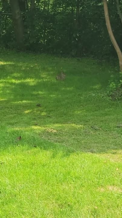 jolene kearse on linkedin impromptuvideos