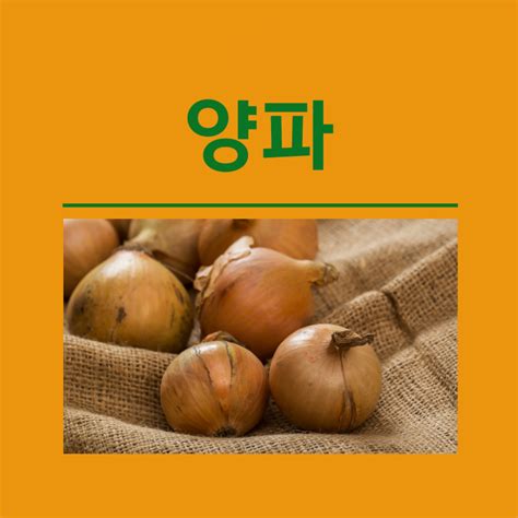 양파의 효능 자색 양파 효능 빨간 양파즙 생양파 껍질 차 와인 복용법 뇌종양 유방암에 좋은 항암 치료 음식 퀘르세틴 부작용 혈압 네이버 블로그