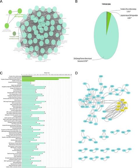Functional Enrichment Analysis And Pathway Enrichment Analysis Based On