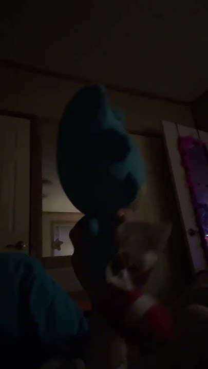 Hogsweep Sonic Doors Youtube