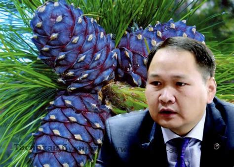 Самрын экспортоос хууль бус орлого олсон байж болзошгүй хэргээр О Амартүвшинг шалгуулна ТАС МН