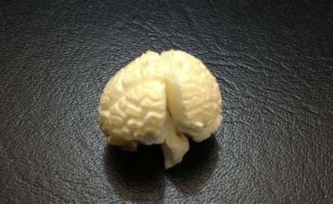 Попкорн тархины хам шинжээс хэрхэн сэргийлэх вэ Мэдээ мэдээлэл Монголын иргэн бүрд ажлын байр