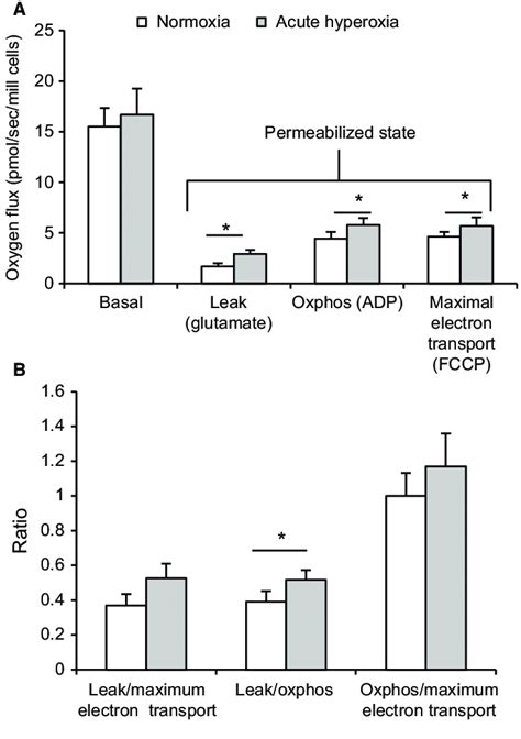 Effects Of Hyperoxia On Oxygen Consumption In Permeabilized Ins 1