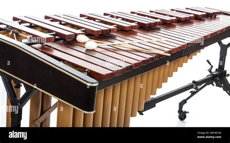 La Marimba Instrument At Jack Belser Blog