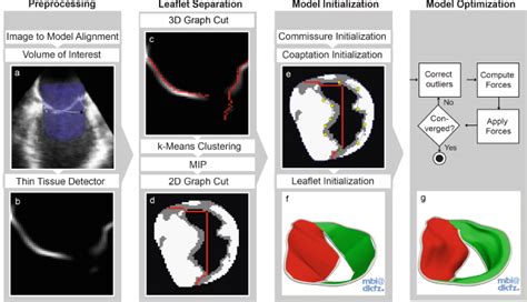 Steps Of Our Automatic Segmentation Pipeline Color Figure Online Download Scientific Diagram