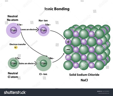 Ionic Bond 3d Model