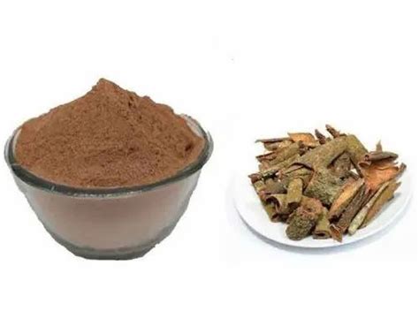 Ashok Chhal Powder At ₹ 65kg Saraca Indica Bark In Pali Id 24431943773