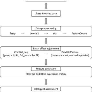 Utilization Of Package MeDP The Fastq File Of RNAseq Data Was Download Scientific Diagram
