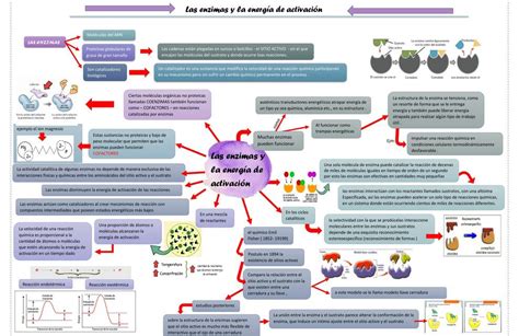 Enzimas Mayra Geraldin Coaquira H Udocz