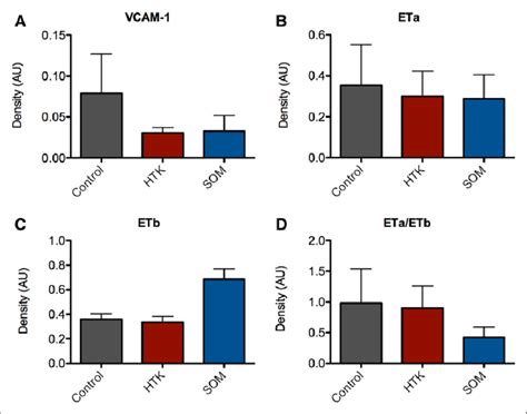 Expression Of Endothelial Activation Markers A Vcam 1 Vascular Cell Download Scientific