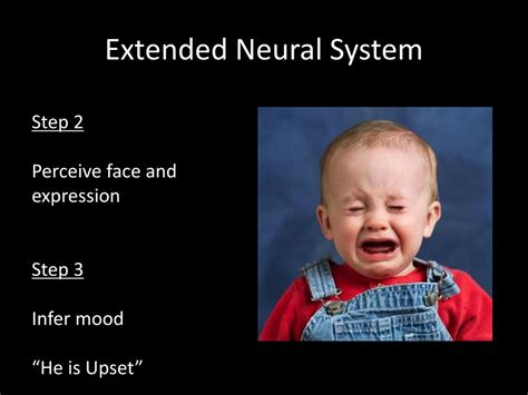 Ppt The Distributed Human Neural System For Face Perception Powerpoint Presentation Id6179734