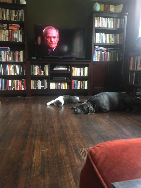 Lazy Sundays Scrolller