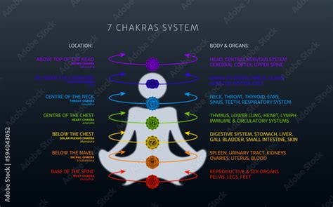 7 Chakras System And Related Body Parts Info Chart Stock Vector